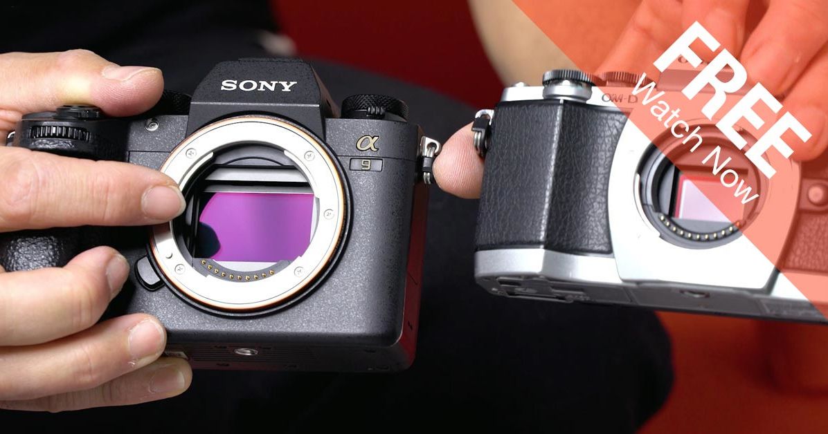 How Do Cameras Work? A helpful Illustrated Guide & Video