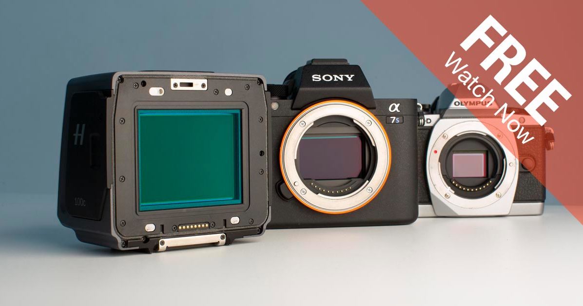 What is Camera ISO? Learn camera ISO, Megapixels & Sensors