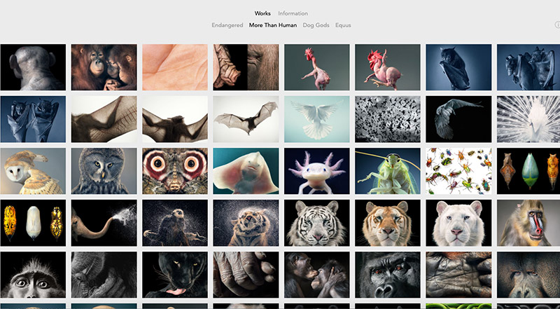 My favourite photographers that will inspire you too | Visual Education