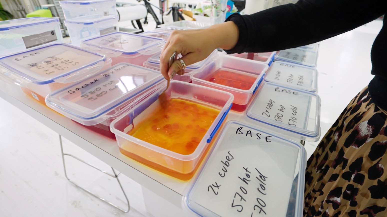 Throwing Jelly at Our Obsession With Beauty | Visual Education