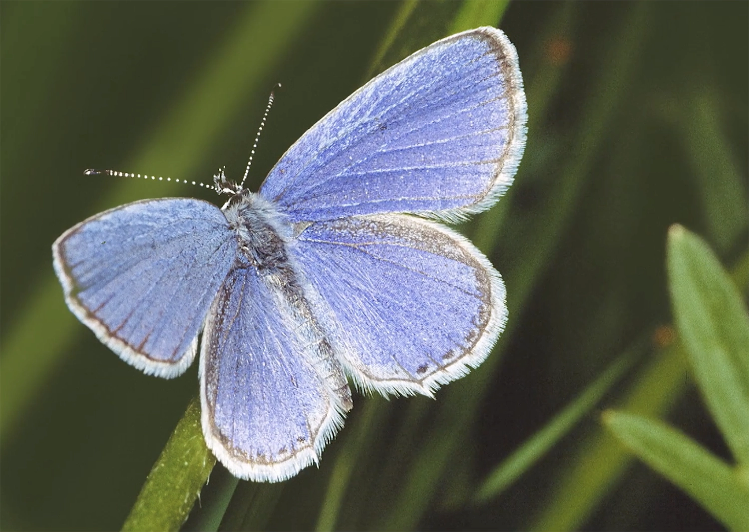 Symmetry in Photography | Visual Education