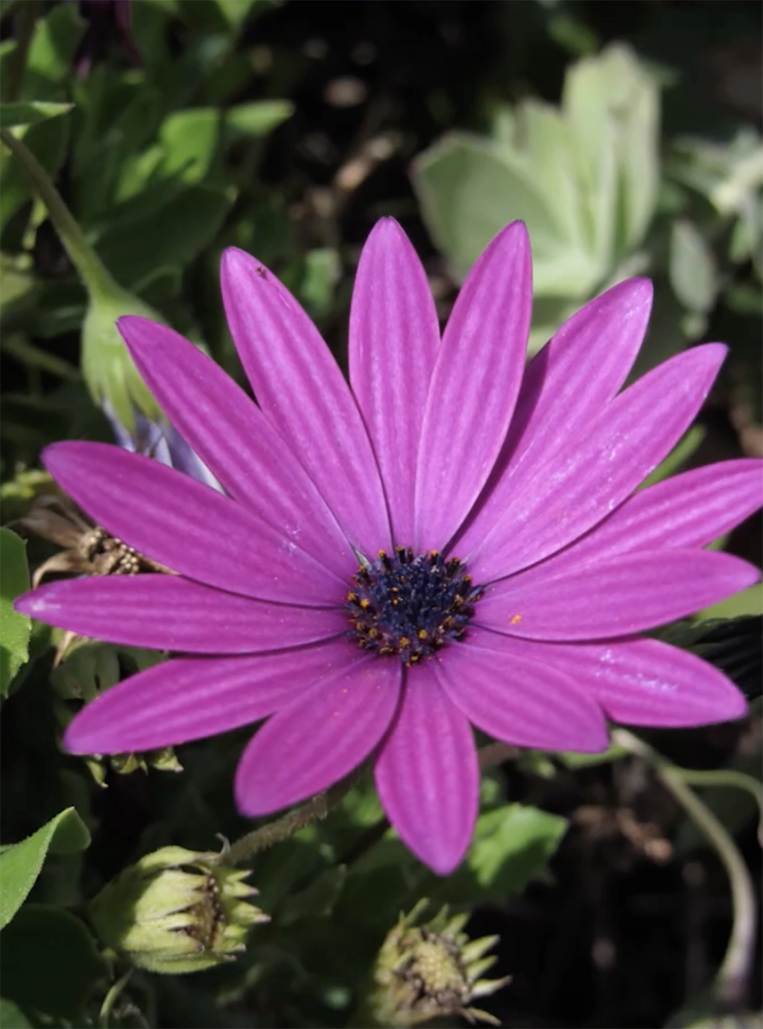 Symmetry in Photography | Visual Education